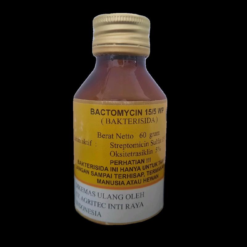 Bactomycin 60gr/ Bakterisida/Obat layu daun pada tanaman karena bakteri ...