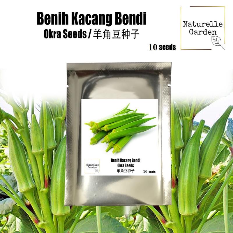 Benih Kacang Bendi Okra Seeds Vegetable Seeds 10 seeds per pack ...