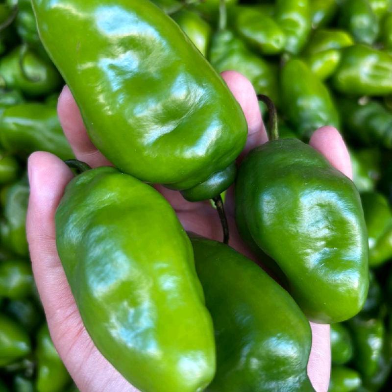 Cabe Gendot Hijau Segar Bandung 250gr Langsung Petik Dari Petani Cabai ...
