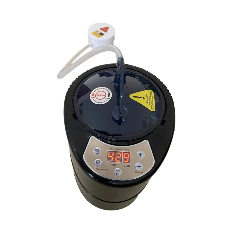 Black Steam Generator 220V/110V EU US Plug 2000W Upgrade Capacity 4.2L ...