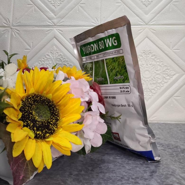 500g Yiuron 80WG Diuron 80% Ametryn 80% Racun Rumput Sambau Darat ...