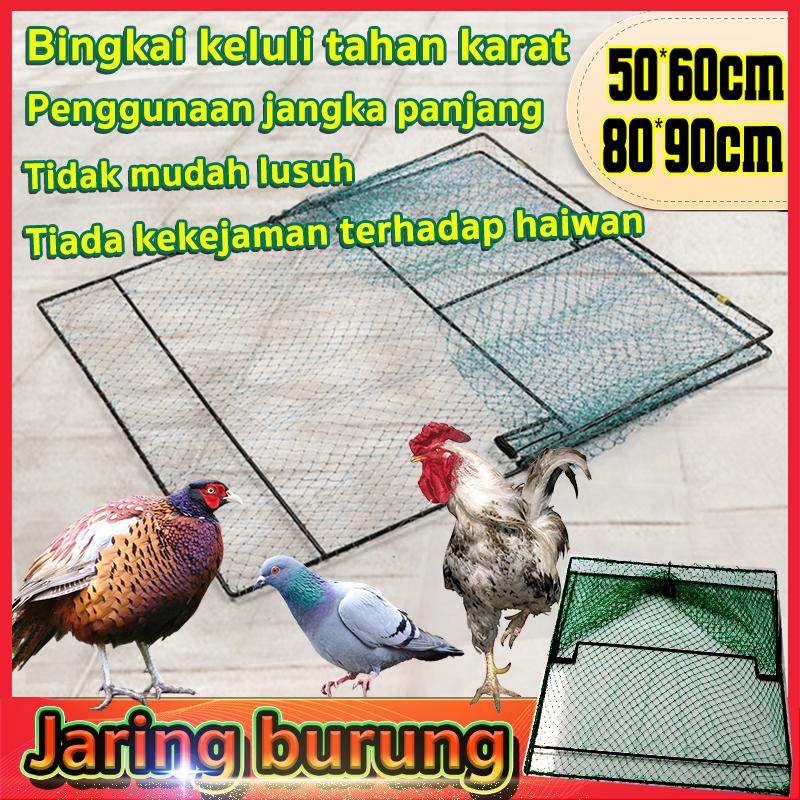Bird Starling 50*60/70*80cm Catching Net Traps Metal chicken - TikTok ...