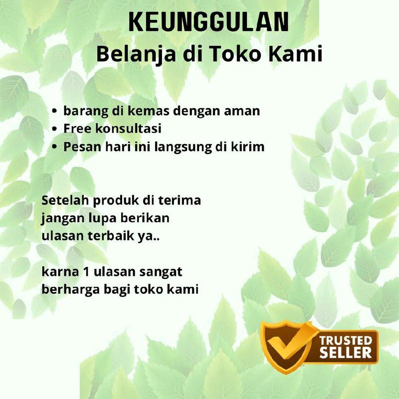 [ BEST SELLER] KAPSUL SUSU LABU CINA ORIGINAL POM - Shop | Tokopedia