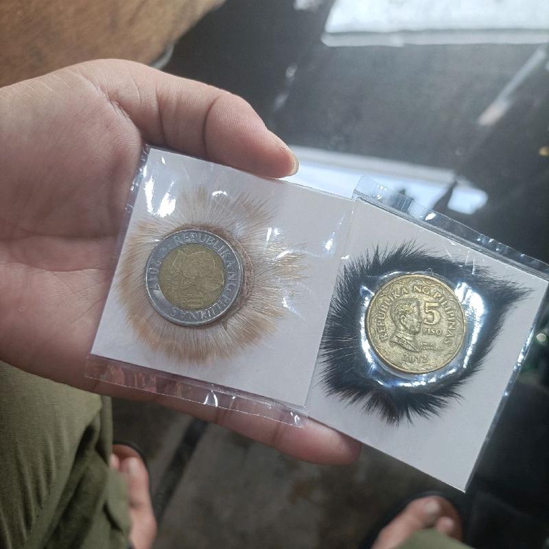 pilik mata ring strichable 1 pcs - TikTok Shop Philippines