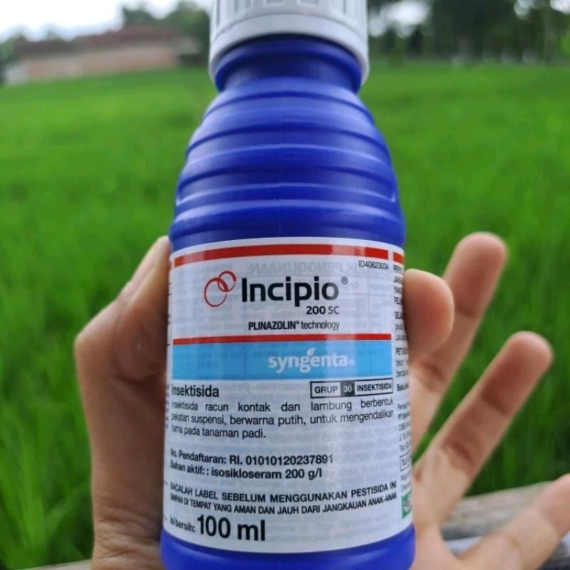 Insektisida INCIPIO 200 SC 100 ML - Shop | Tokopedia