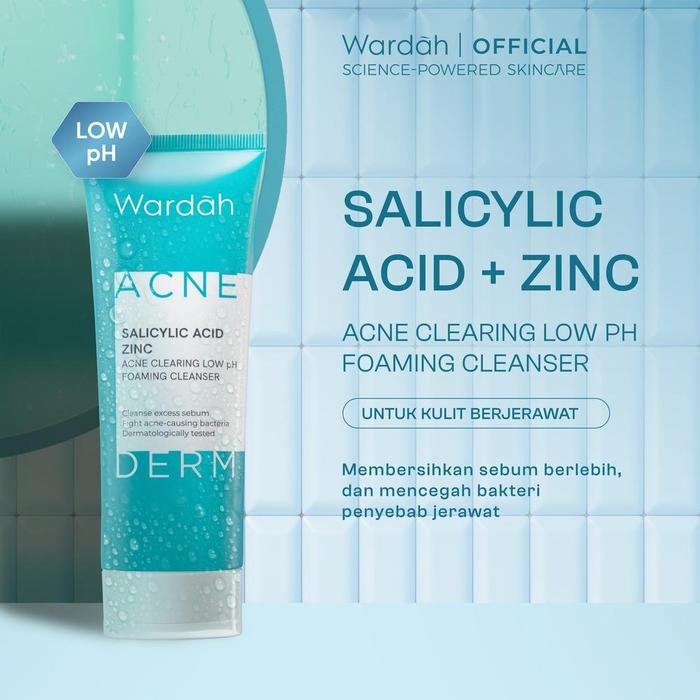 Promo Wardah Acnederm Facial Wash Salicylic Acid Zinc Acne Clearing Low ...