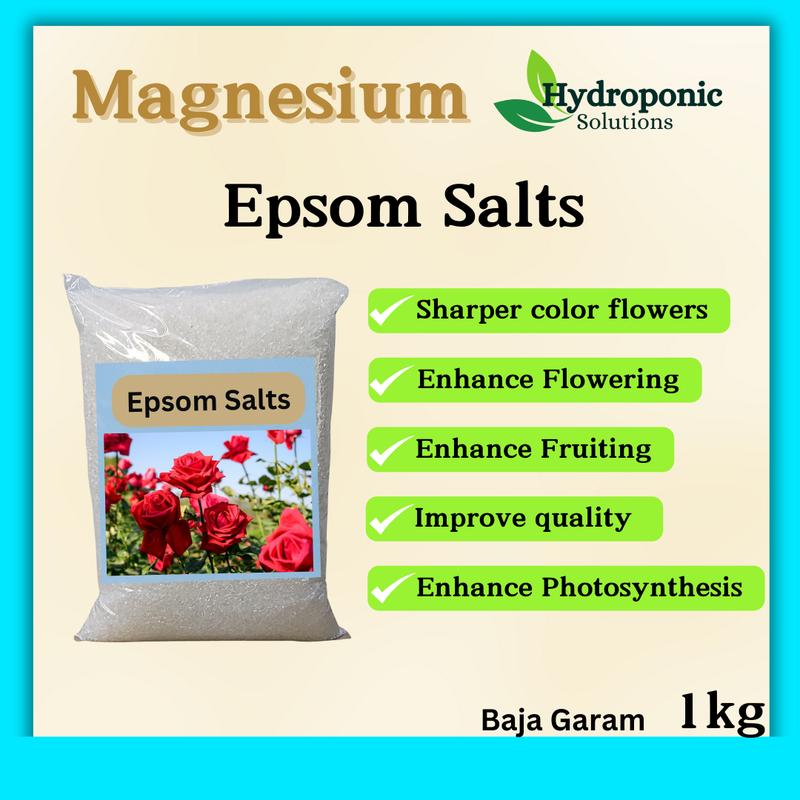 1kg Baja Garam Epsom Salt Mgs Magnesium Sulfate Garam Pokok - TikTok ...