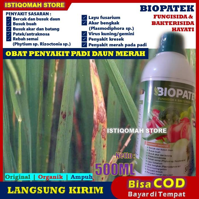 BIOPATEK Fungisida & Bakterisida Hayati 500ml Insektisida Pestisida ...