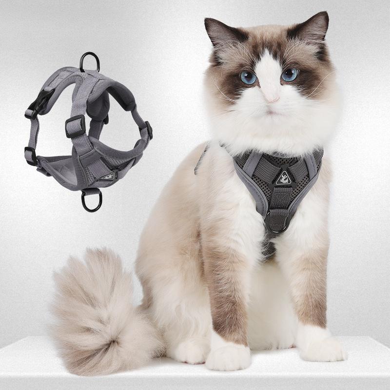 New Cat Backless Vest with Reflective Ventilation for Walking - TikTok ...