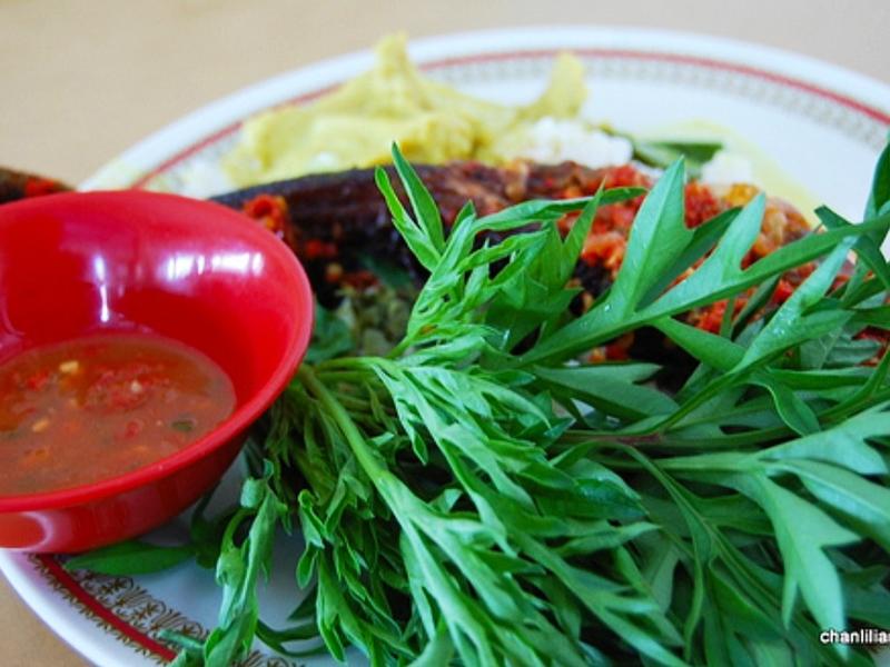 Benih Tanaman Ulam Raja Segar (150 benih/paket, ladang sendiri ...