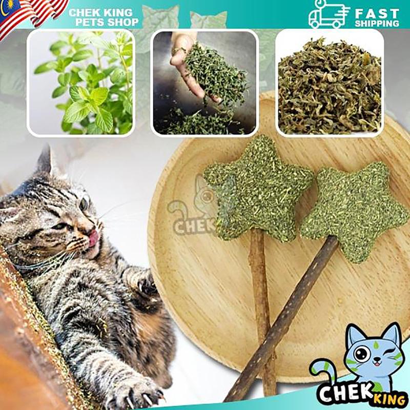 Makanan Kucing Lollipop Catnip Stick Cat Mint Hair Removal Appetizer ...