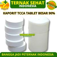 Jual KAPORIT TABLET BESAR TCCA 90% 1 KG - Chlorine Tablet Obat Kolam ...