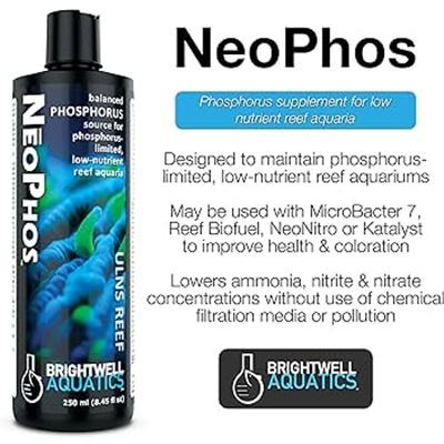 Brightwell Neo Phos 250ml / 500ml [Balanced Phosphorus Sourc - TikTok Shop Malaysia