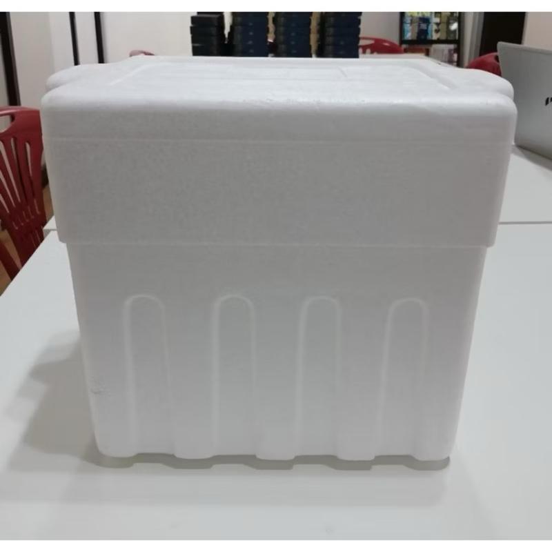 icebox untuk letak mknn frozen - TikTok Shop Malaysia