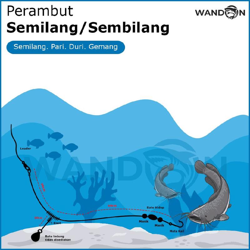 BS60 Perambut Ikan Semilang Sembilang Dasar Mata Satu Pantai - TikTok ...