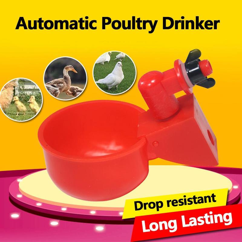 Automatic Poultry Drinker Chicken Duck Drinking Feeder Hanging - TikTok ...