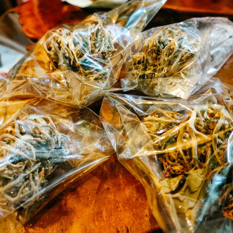 TANAMAN HERBAL RUMPUT FATIMAH ASLI - Shop | Tokopedia