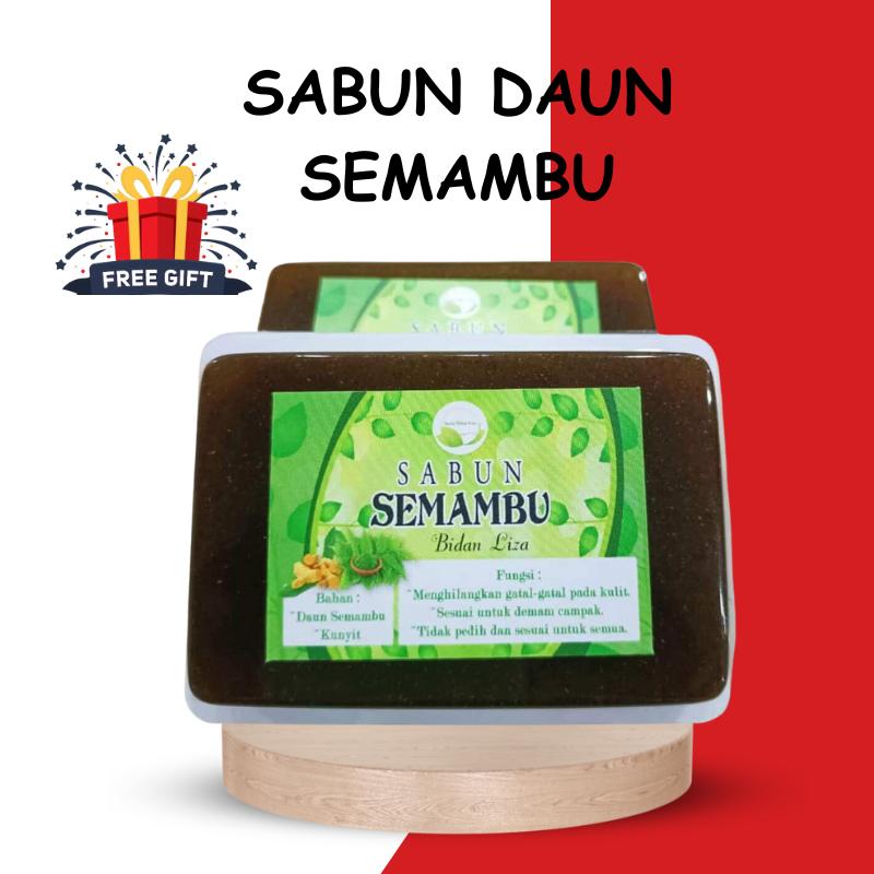 SABUN DAUN SEMAMBU WITH GIFT Body Care Body Wash - TikTok Shop Malaysia