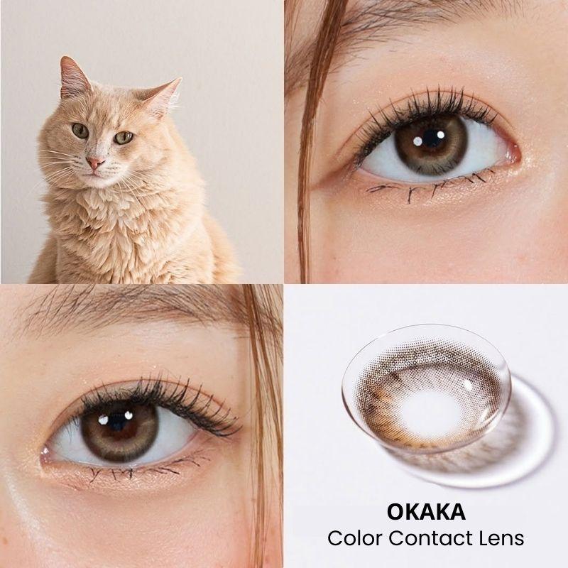 OKAKA Softlens Minus (0.00 s/d -5.00) Diameter 14.5MM Lensa Kontak ...