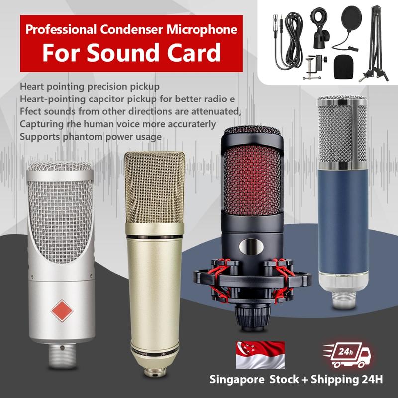 SG Stock High Quality Condenser Microphone With XLR Cable Microphone ...