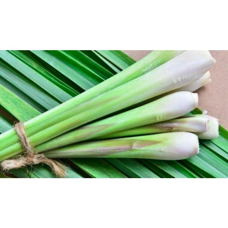 Sereh / sereh segar per 1 kg - Shop | Tokopedia