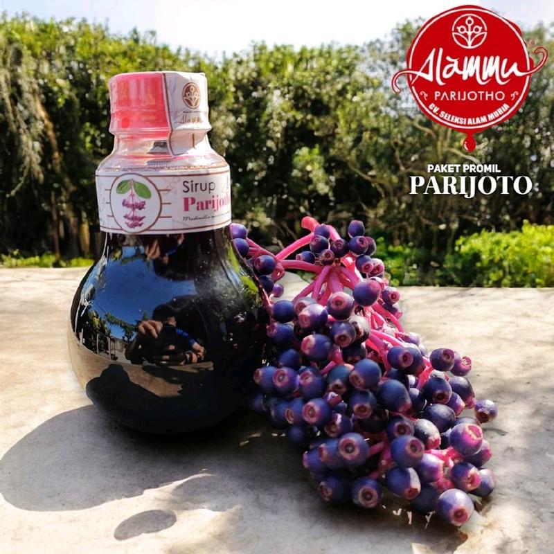 PAKET PROMIL Sirup Parijoto [ALAMMU] 250 mL Promil - Minuman - Shop ...