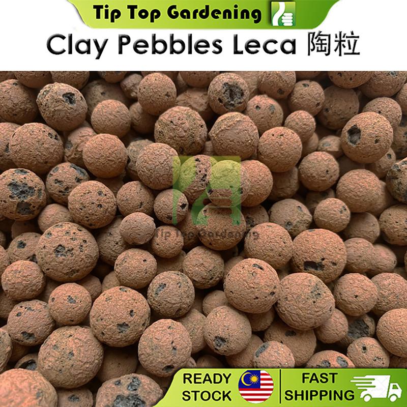 500g Leca Clay Pebbles Natural Leca Balls Expanded Clay Pebble - TikTok ...