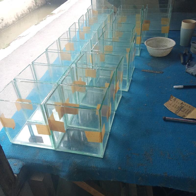bahan soliter aquarium uk PLT 15*15*20 - Shop | Tokopedia