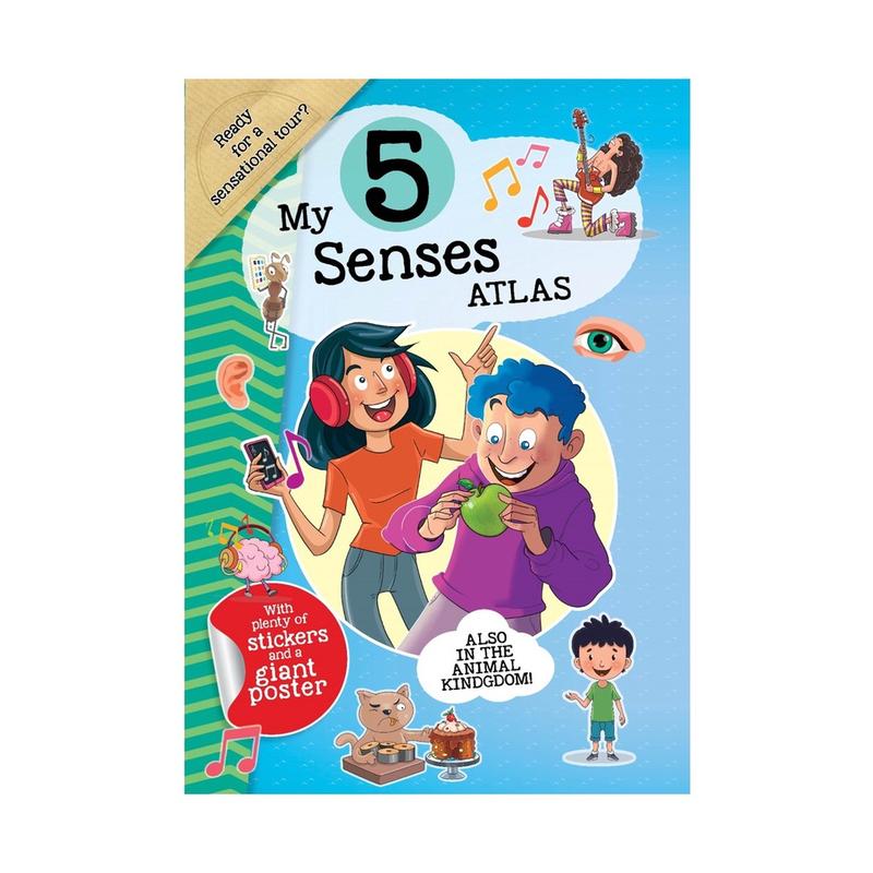 My Five Senses Atlas Activity Book For Kids with Stickers To - TikTok ...