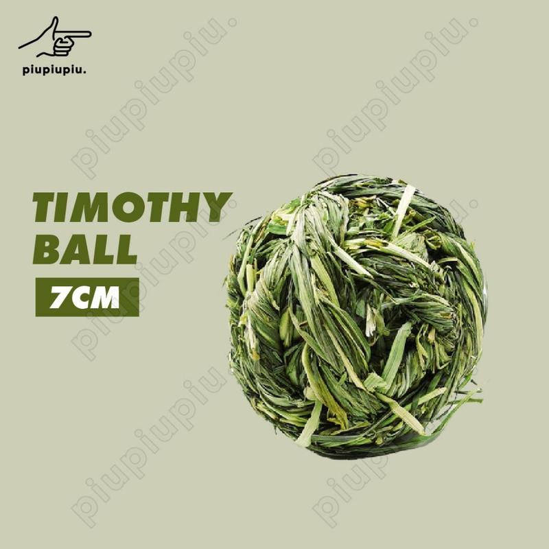[24HR SHIP] NATURAL TIMOTHY BALL Small Pets Chew Toys Molar Toys ...