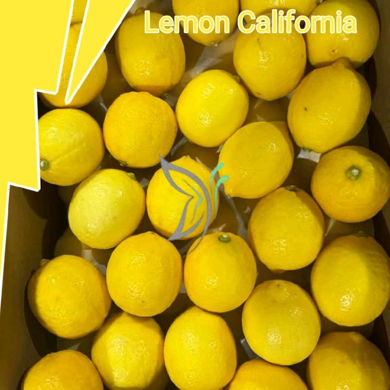 Jeruk Lemon Peras per 3kg jeruk Super Kuning- Minuman Segar - Mama ...