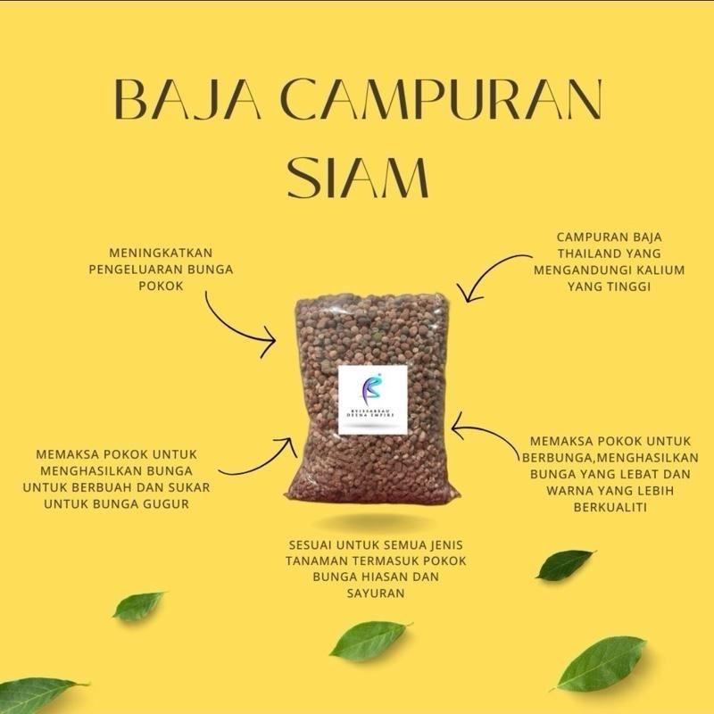 Campuran Baja Siam | baja mix | baja paksa subur | baja paks - TikTok ...