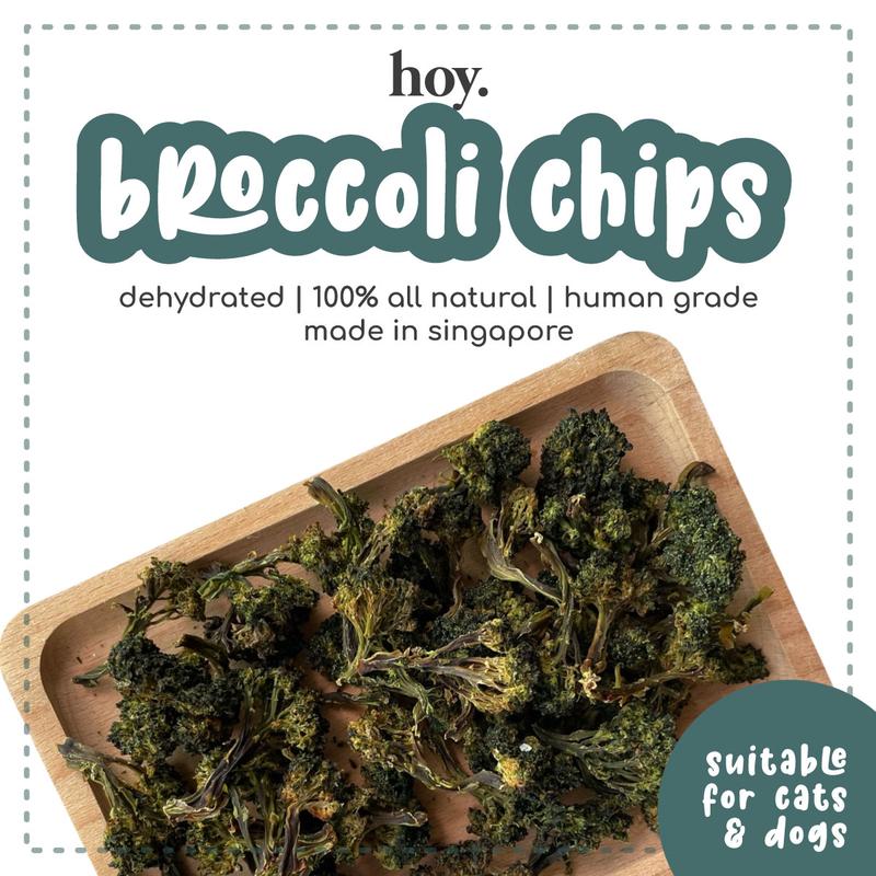 broccoli chips (50g) | sayhoy freshly made in singapore (1OO% natural ...