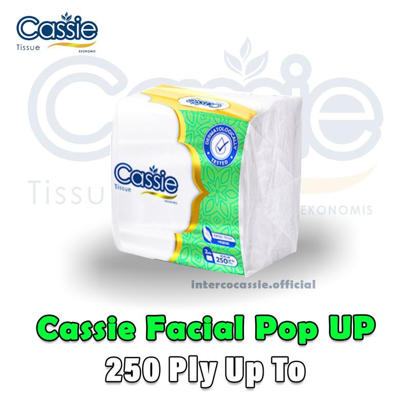 [10 bungkus] Tissue pop up 2 ply cassie 250 sheet Tisu tissu - Shop ...