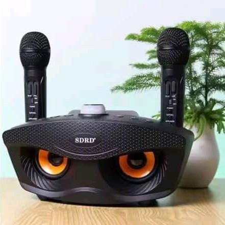 SDRD SD 306 Plus Wireless Bluetooth Dual Microphone Karaoke Portable ...