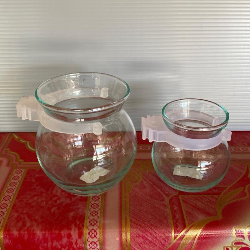 Bird Cup Glass / Cawan kaca*burung jambul/murai* (1 pcs) - TikTok Shop ...