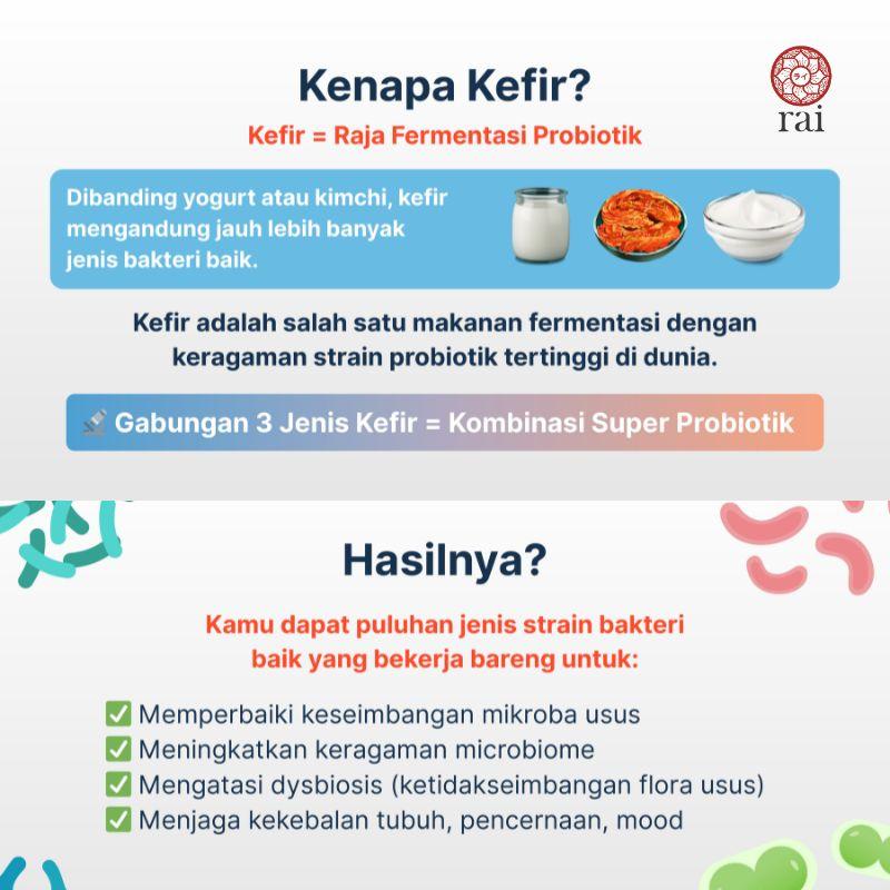 BloomLab Gut Reset Super Probiotik Alami Kefir Bubuk 28 Sachet Per ...