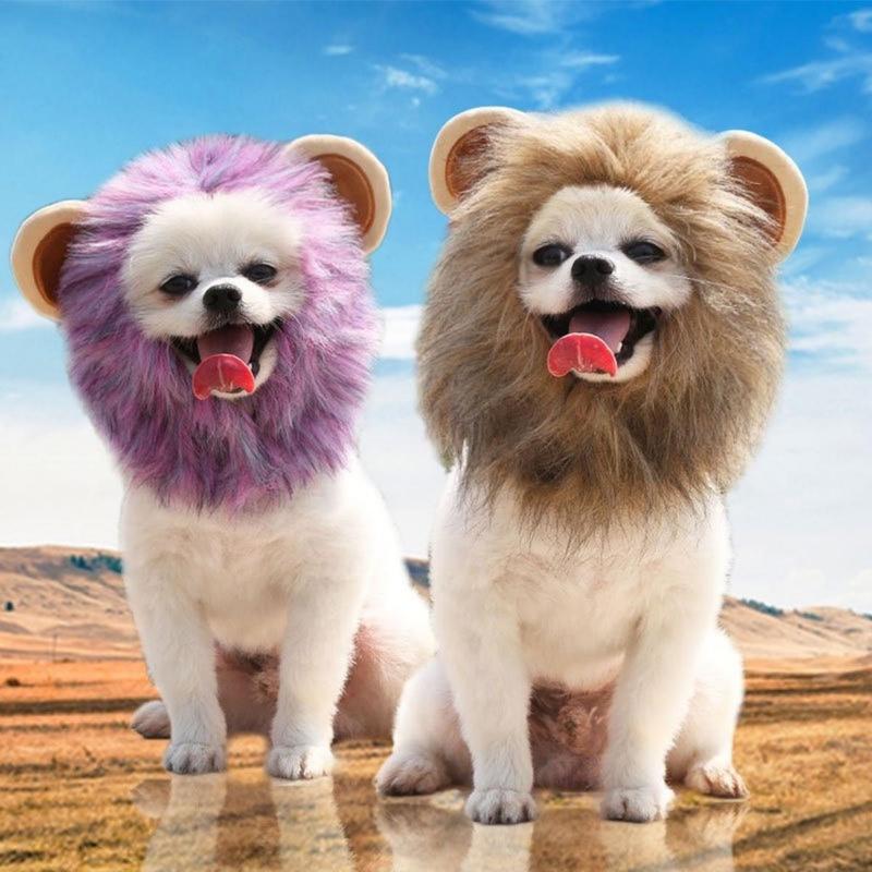 Rambut palsu surai singa untuk kucing, topi comel untuk anjing - TikTok ...