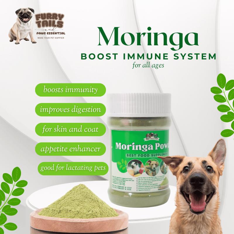 Moringa Organic Powder (Best Pet Food Supplement) - TikTok Shop Philippines