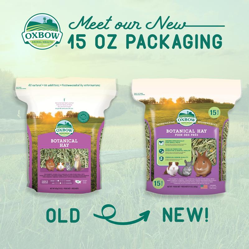 Oxbow Brand Botanical Hay 15 Oz - TikTok Shop Singapore