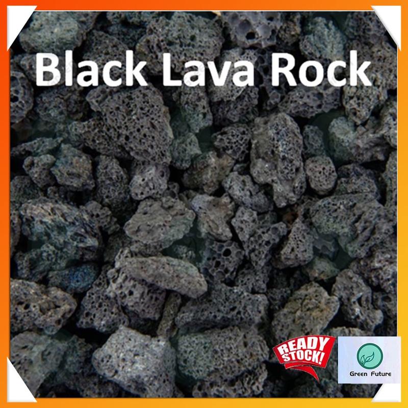 BLACK VOLCANIC LAVA ROCK AQUARIUM STONE BATU GUNUNG BERAPI PASIR ...