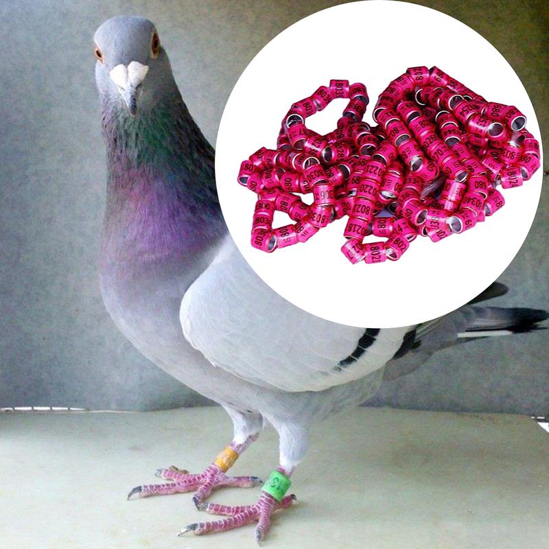 100Pcs 2024 Pigeon Ring Aluminium Dove Leg Rings Accessories - TikTok ...