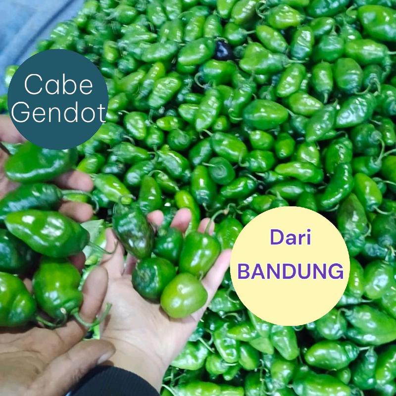 Cabe Gendot Fresh Bandung 250 gram, 500 gram, 1 Kg - Shop | Tokopedia