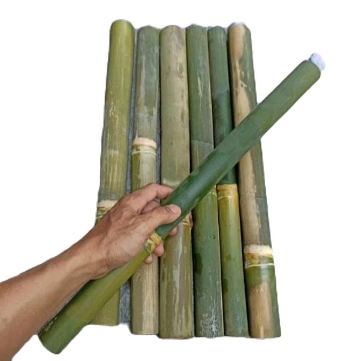 obor bambu jadul panjang 50 cm Tanah - Shop | Tokopedia