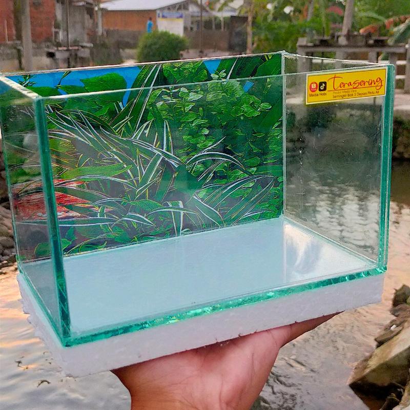 Aquarium Mini Progres Chana Guppy 20x12x12cm - Shop | Tokopedia