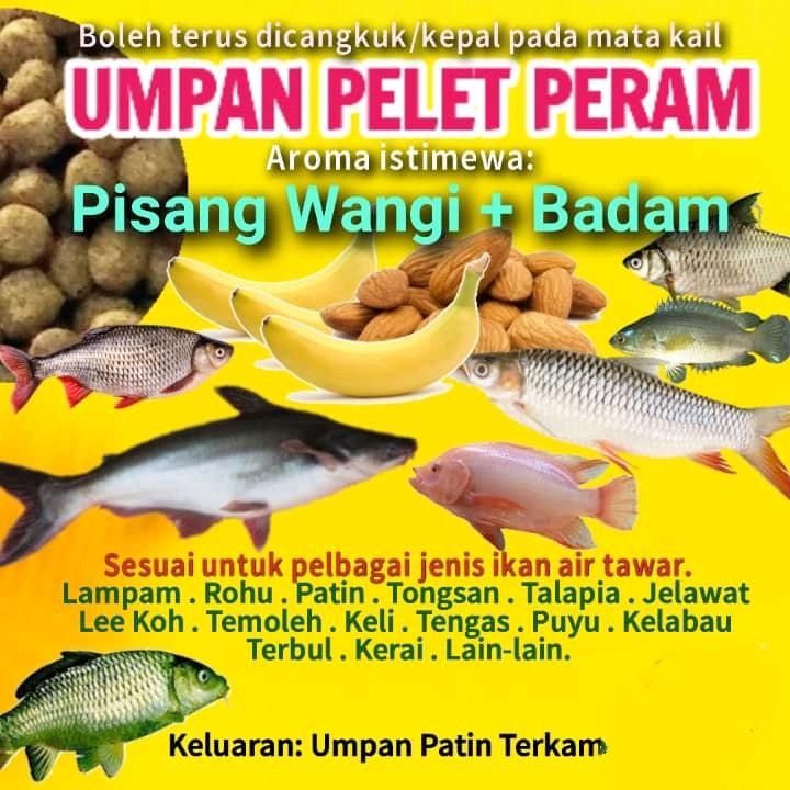 Umpan Pelet Peram (bersama pati buah pisang wangi & badam ) - TikTok ...