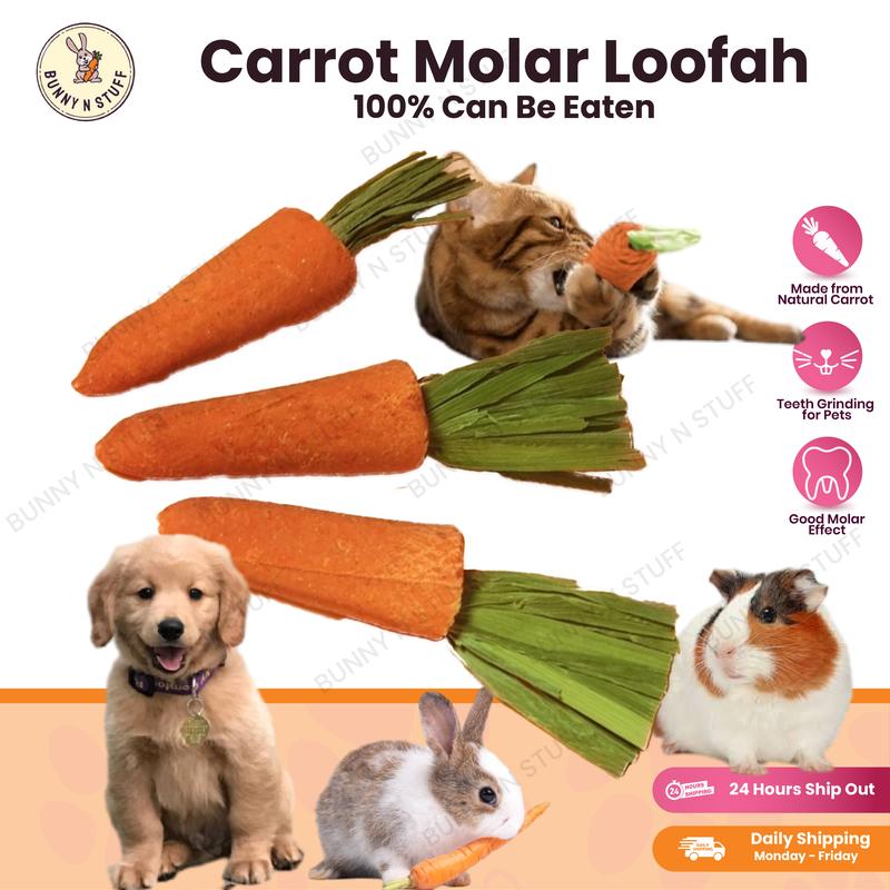 Mini Carrot Snack Rabbit Hamster Snacks Toy Edible Dental chew - TikTok ...