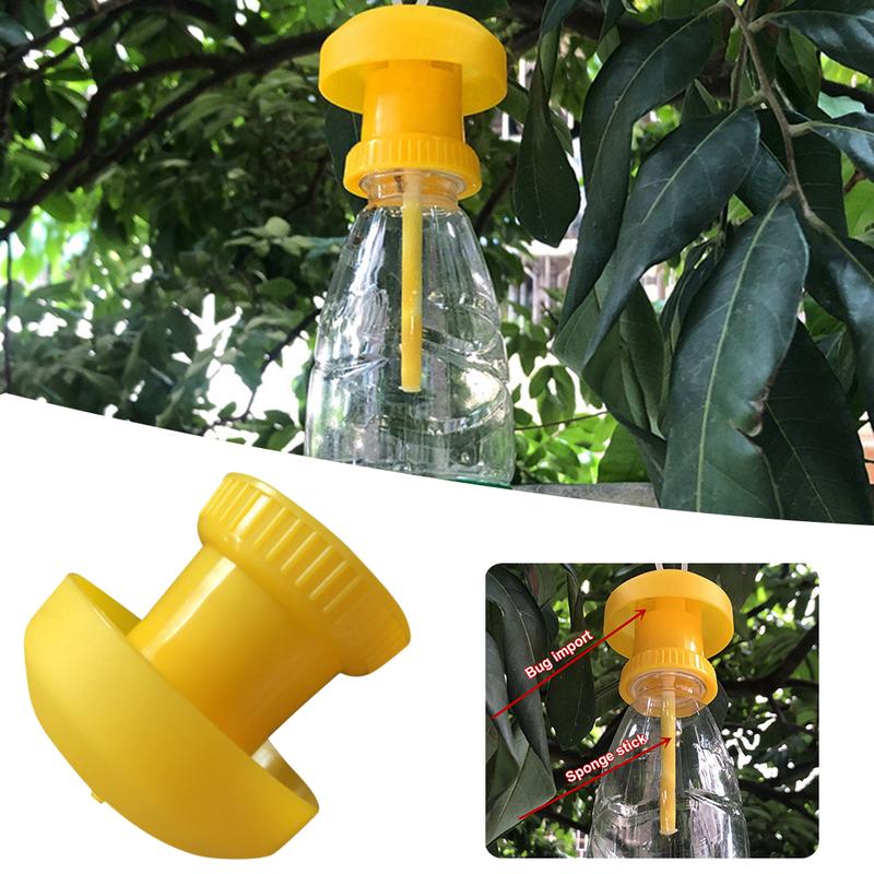 Fruit Fly Traps Reusable Plastic Bottle Top Trap Fly Catcher - TikTok ...