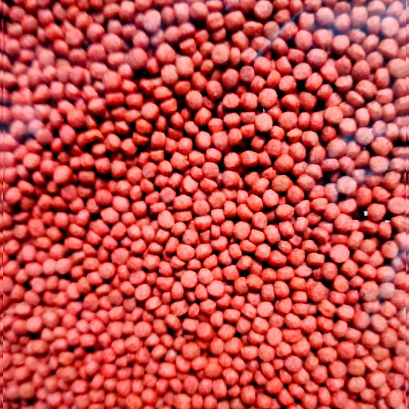 High Protein PELLET MERAH, Pellet Terapung Untuk Semua Ikan Tropika ...