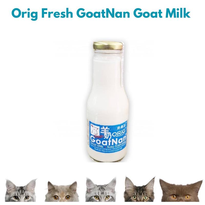 Orig Fresh GoatNan Goat Milk Cat Milk Susu Kembing 250ml - TikTok Shop ...
